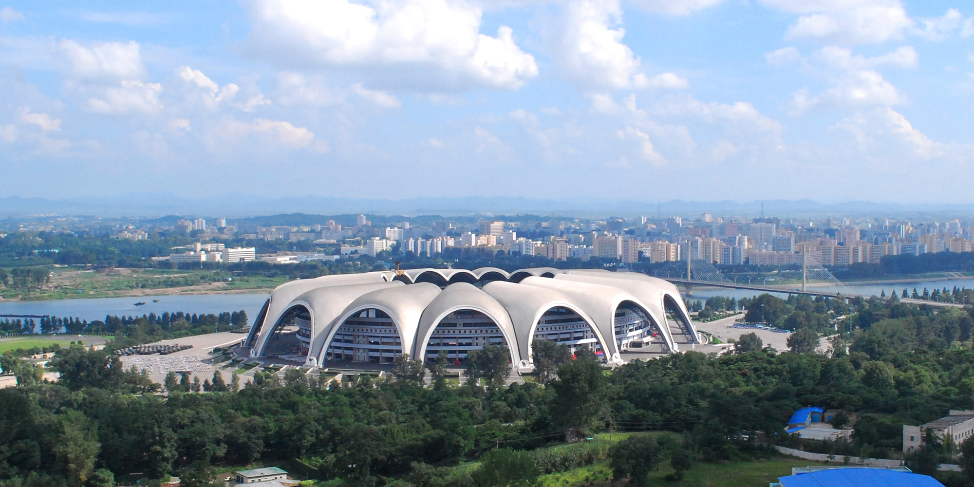 cow at emaze Presentation